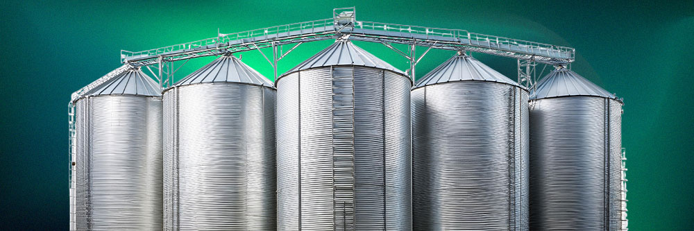 Cloruro de colina en la nutrición animal: ¿Por qué reconsiderar?